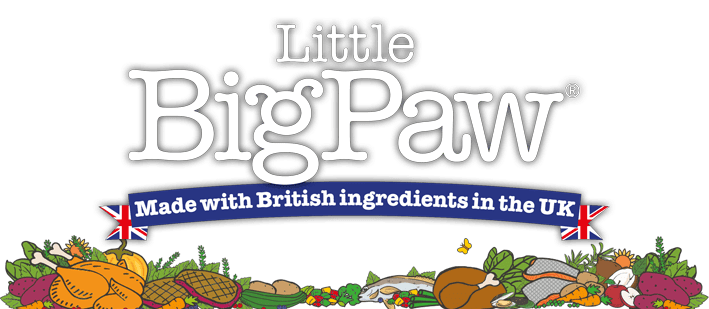 Little Big Paw – Animals And Us